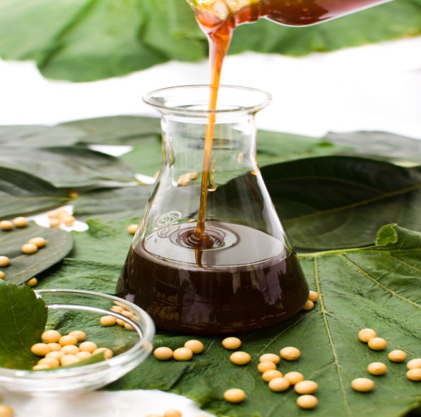 IMPRO LECITHIN LLP, INDORE